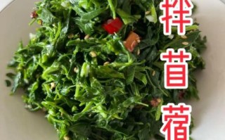苜蓿怎么吃好吃_苜蓿有哪些家常做法