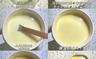 鲜奶酪怎么吃_鲜奶酪的做法大全