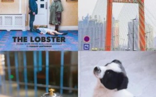 龙虾电影在线观看_哪里能看高清完整版