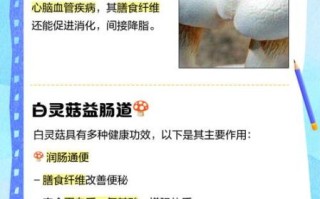 白灵菇的营养价值_白灵菇的功效与作用