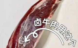 金钱肉是什么动物的肉_金钱肉为什么叫金钱肉
