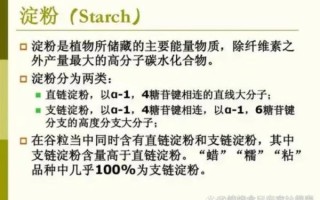 哪种淀粉腌肉最嫩_玉米淀粉还是土豆淀粉
