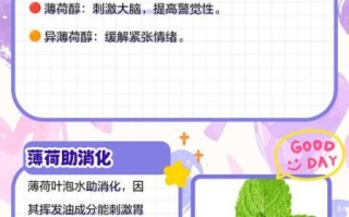 薄荷叶泡水有什么好处_薄荷叶泡水能减肥吗