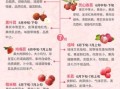 荔枝什么时候成熟_荔枝几月份上市