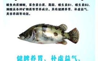 桂花鱼营养价值_孕妇能吃吗