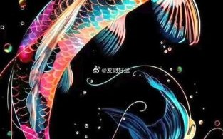 锦鲤图片杨超越_杨超越锦鲤壁纸哪里找