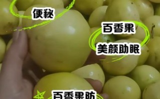 香果是什么水果_香果的功效与作用