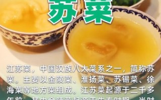 苏菜十大代表菜有哪些_如何在家复刻经典