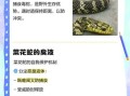 吃菜花蛇的好处和坏处_菜花蛇能不能吃