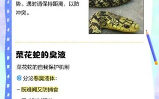 吃菜花蛇的好处和坏处_菜花蛇能不能吃