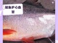 鲳鱼的营养价值及功效_孕妇能吃鲳鱼吗