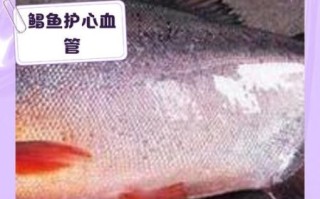 鲳鱼的营养价值及功效_孕妇能吃鲳鱼吗