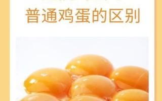 贵妃鸡蛋的营养价值_贵妃鸡蛋和普通鸡蛋区别