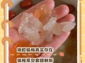 吃皂角米桃胶雪燕骗局_如何辨别真假