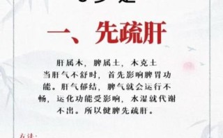 脾虚湿盛的症状有哪些_脾虚湿盛吃什么调理