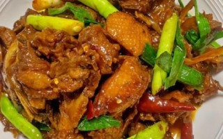 啤酒鸭怎么做才好吃_啤酒鸭的家常做法步骤