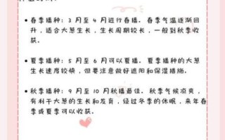 葱怎么种_葱的种植方法和时间