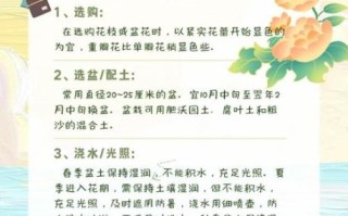 芍药花什么时候开花_芍药花怎么养护