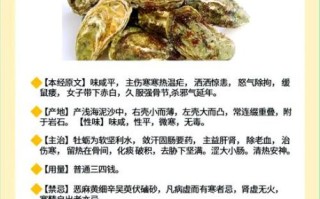 牡蛎的功效与作用是什么_牡蛎怎么吃最补肾壮阳