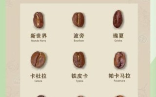 世界十大奢侈品牌咖啡有哪些_如何品鉴顶级咖啡豆
