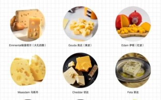长期吃奶酪有什么副作用吗_奶酪吃多了会怎样