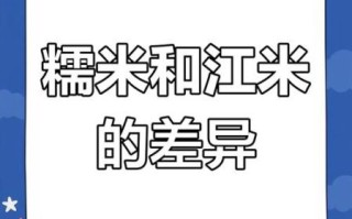 糯米和江米一样吗_如何区分糯米与江米