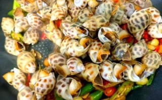 花螺要煮多久才熟_花螺煮多久口感最佳