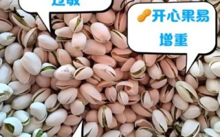 经常吃开心果的危害_开心果吃多了会上火吗