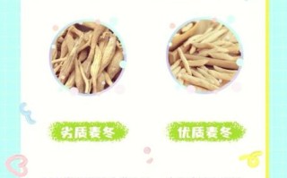 麦冬泡水喝一次几颗_麦冬泡水用量与禁忌