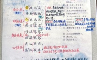 采薇翻译是什么_采薇翻译怎么用