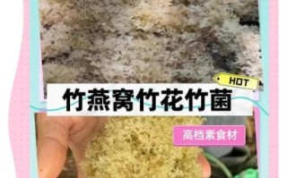 竹燕窝是什么_竹燕窝的功效与作用