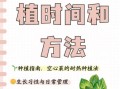 空心菜怎么种植_空心菜种植时间和方法