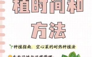 空心菜怎么种植_空心菜种植时间和方法