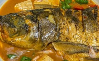 烧鱼头怎么做_鱼头怎么烧才入味