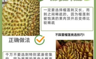 榴莲怎么挑选才肉多多_榴莲挑选技巧