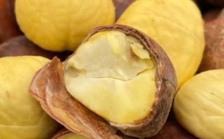 云南板栗头好吃吗_云南板栗头多少钱一斤