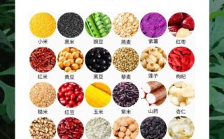 粗粮都包括哪些粮食_粗粮有哪些种类