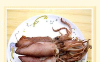 笔管鱿鱼怎么做好吃_笔管鱿鱼的家常做法大全