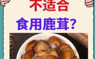 哪些女人不能吃鹿茸_鹿茸禁忌人群