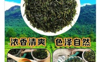 苦丁茶有什么功效与作用_苦丁茶能降血压吗