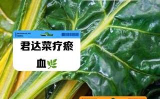 君达菜怎么做好吃_君达菜的家常做法