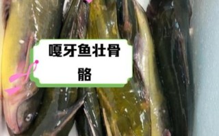 嘎鱼吃什么_嘎鱼怎么养