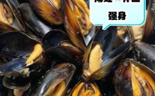 海虹的营养价值_海虹的功效与作用