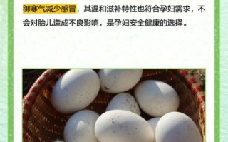 鹅蛋怎么吃最好_鹅蛋怎么吃最有营养