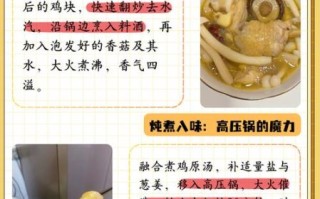 清炖鸡放什么调料_清炖鸡调料怎么搭配