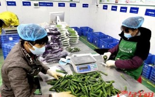 广州菜篮子价格哪里查_广州菜篮子配送怎么订