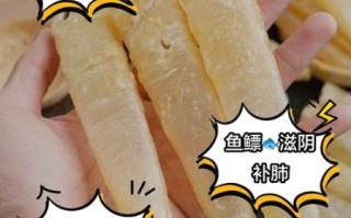 鱼膘的作用和功能_鱼膘有什么功效