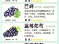 夏黑葡萄和巨峰葡萄哪个好吃_口感差异大吗