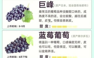 夏黑葡萄和巨峰葡萄哪个好吃_口感差异大吗