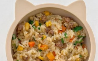 懒人牛肉焖饭怎么做_牛肉焖饭需要焯水吗